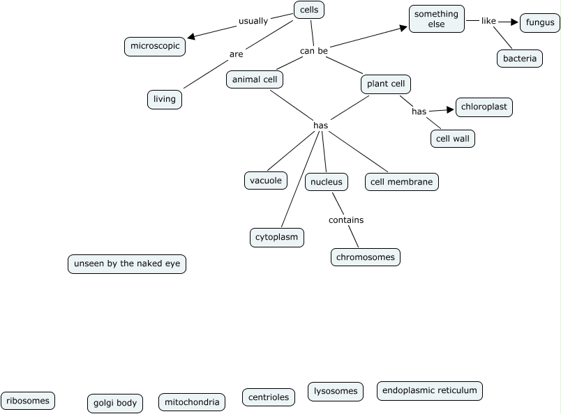 cell-structures-and-functions-worksheet-images